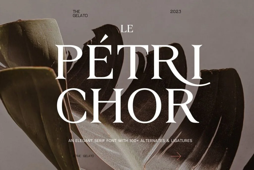 Le Petrichor: Captivating Elegance Merging Classic Typography With ...