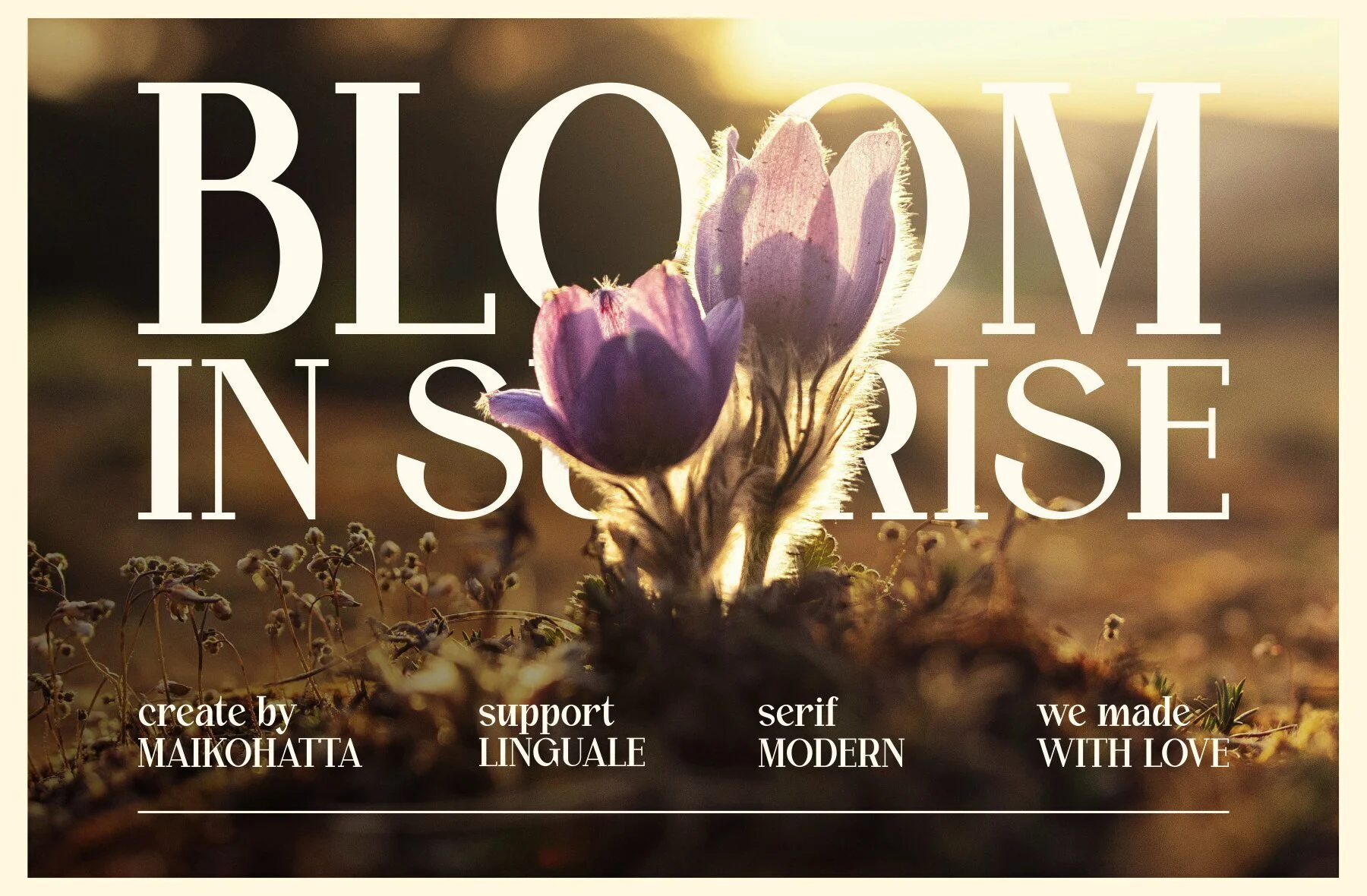 Calvine Font – MisterFonts